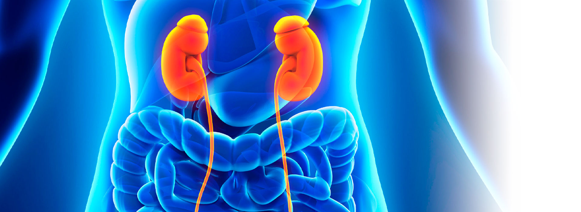 Nefrectomías - Dr. Eduardo Sotelo